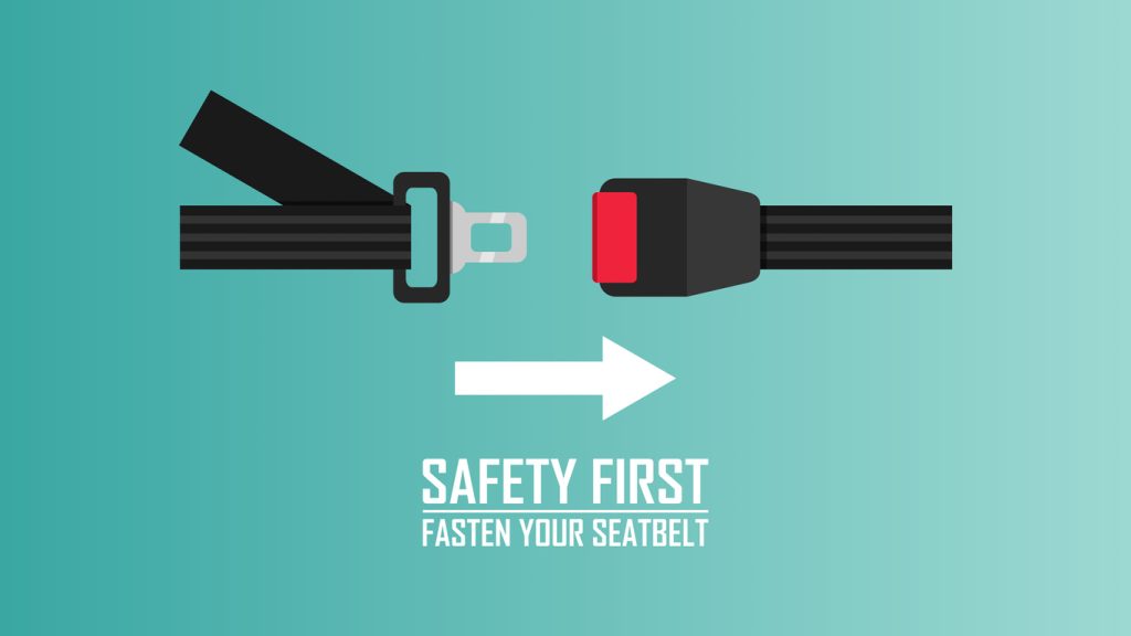 Important Safety Tips for Familes and Pets for National Seat Belt Day ...