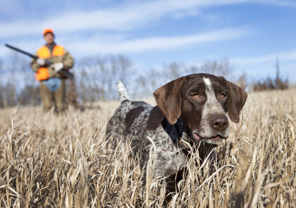 Exploring Great Places to Hunt and Hike in Illinois for National Get ...